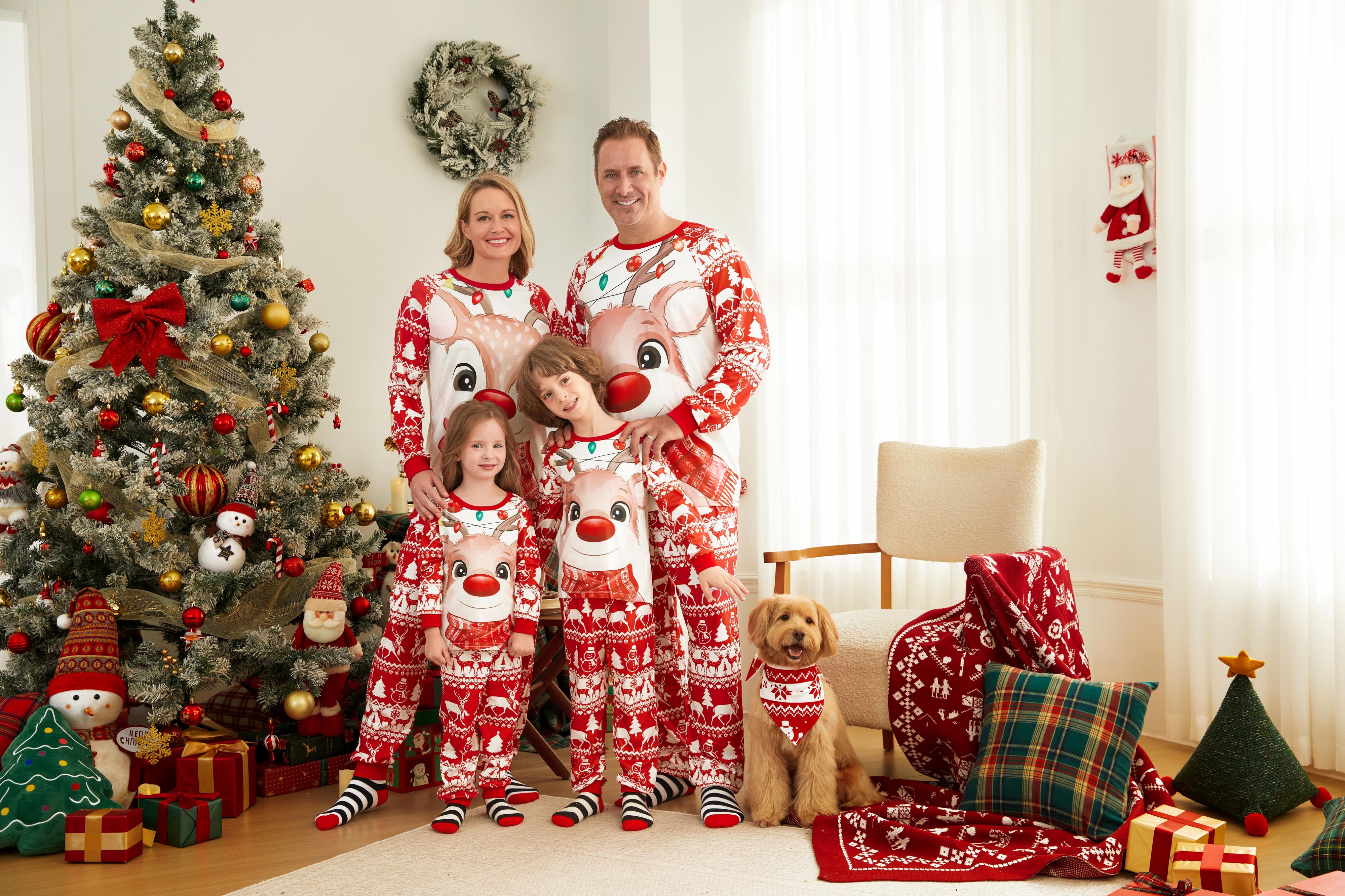Why Reindeer Are Linked to Christmas: History and Meaning - PatPat